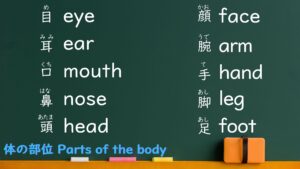 ★ウォームアップ - Sumi Eigo Dojo